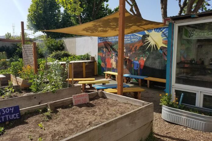 Small Space Garden Design Ideas: 35 Ways to Unlock Creativity