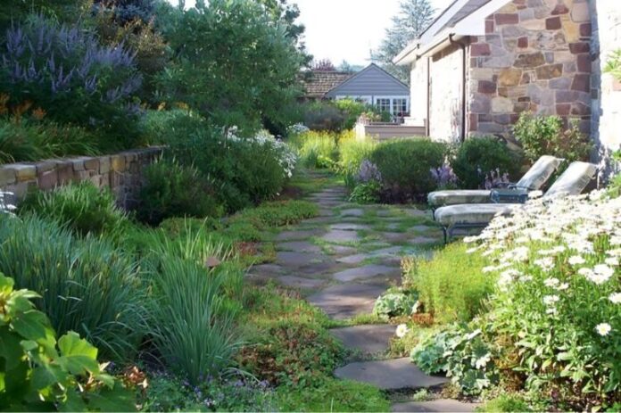 Side Yard Landscaping Ideas: 32 Inspirations to Unlock Beauty