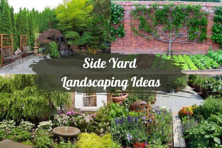 Side Yard Landscaping Ideas: 32 Inspirations to Unlock Beauty