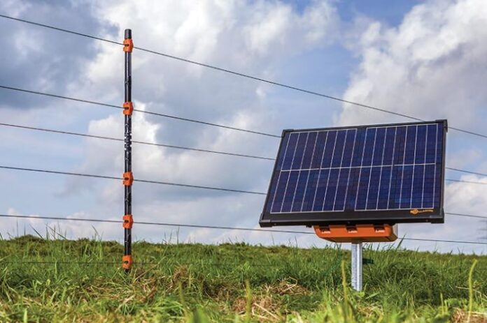 Fencing Ideas for Your Yard: 37 Ways to Transform Outdoor Space