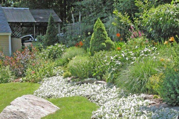Side Yard Landscaping Ideas: 32 Inspirations to Unlock Beauty