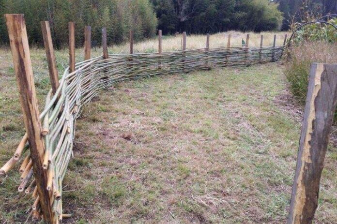 Fencing Ideas for Your Yard: 37 Ways to Transform Outdoor Space