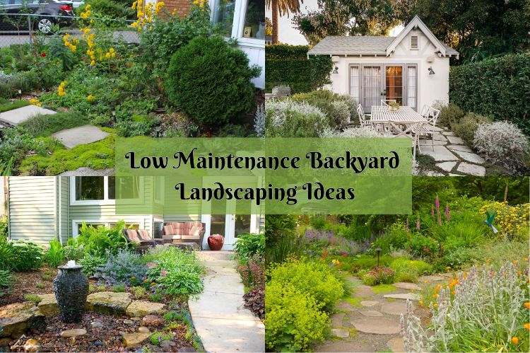 Low Maintenance Backyard Landscaping Ideas: 15 Elegance Tips