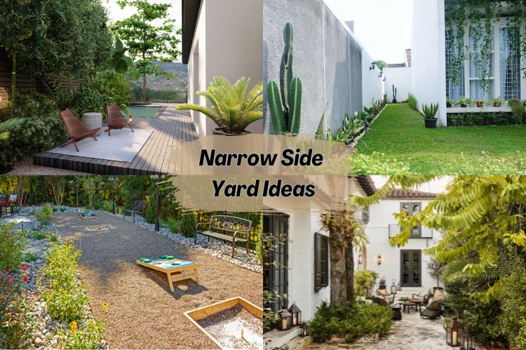 Narrow Side Yard Ideas: Maximize Space with 32 Inspirations!
