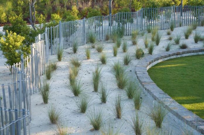 Coastal Landscaping Ideas: 25 Beachy Backyard Tips