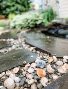 Coastal Landscaping Ideas: 25 Beachy Backyard Tips