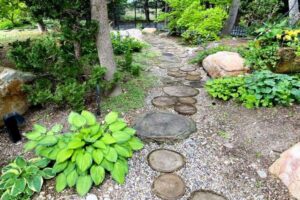 Zen Garden Ideas: 25 Backyard Havens for Cultivating Serenity