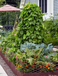 Small Front Yard Landscaping Ideas: 25 Tips for Petite Perfection