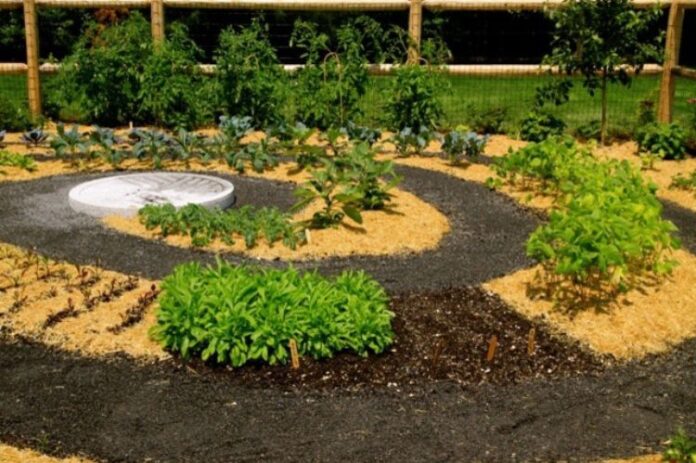 Zen Garden Ideas: 25 Backyard Havens for Cultivating Serenity