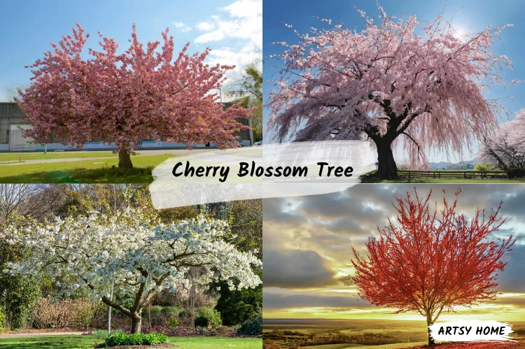 Unveiling the Enchanting World of Cherry Blossom Trees